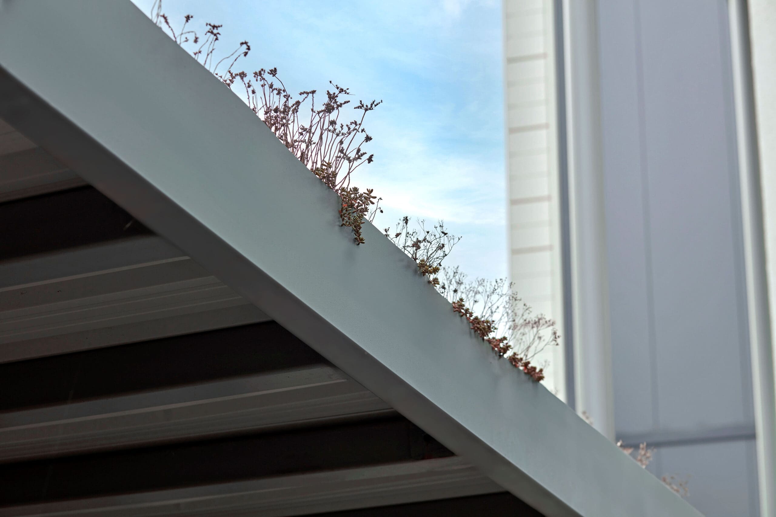 Sedum Green Roofing for Shelters - The Bike Storage Company